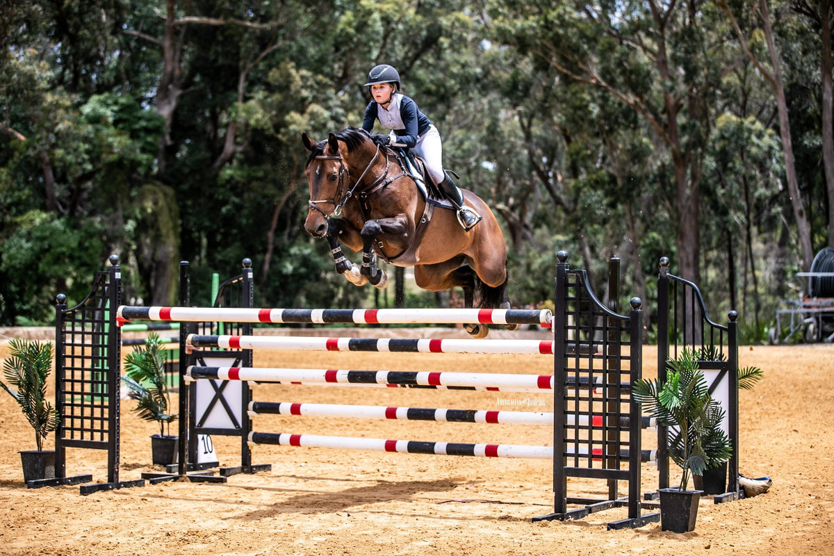 Linking Horses Gut Health and Performance - What you can do to help ...