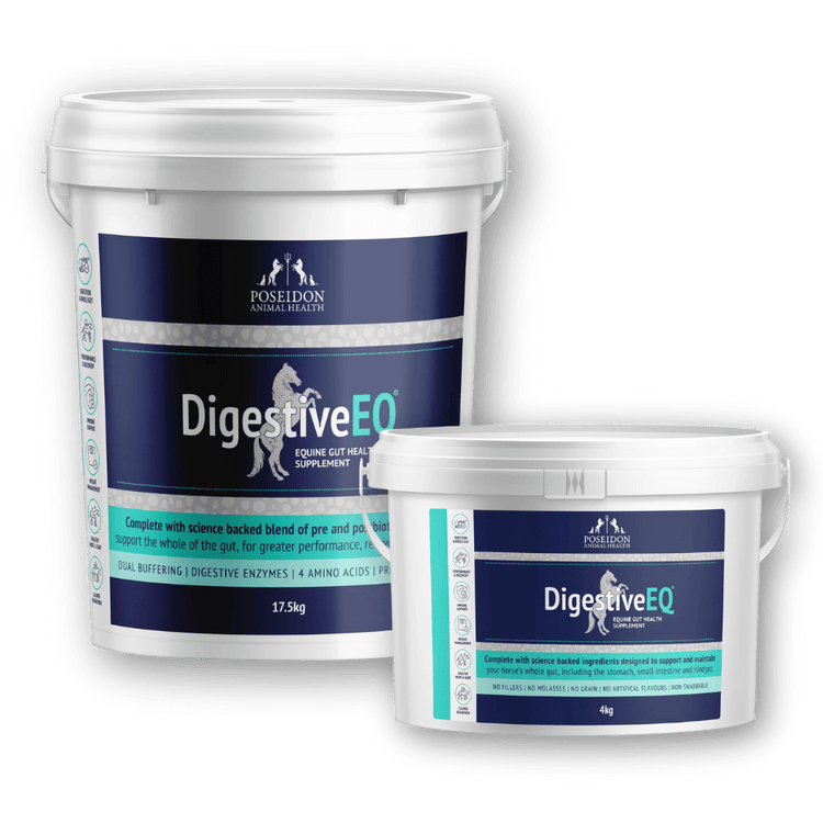 Check your horse's diet. Free Equine Nutrition Calculator