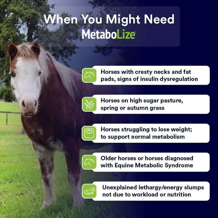 MetaboLize® Equine Metabolic Supplement from Poseidon Animal Health