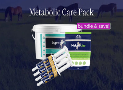 Horse Digestive Supplements for better Gut Health in Horses. NZ Made