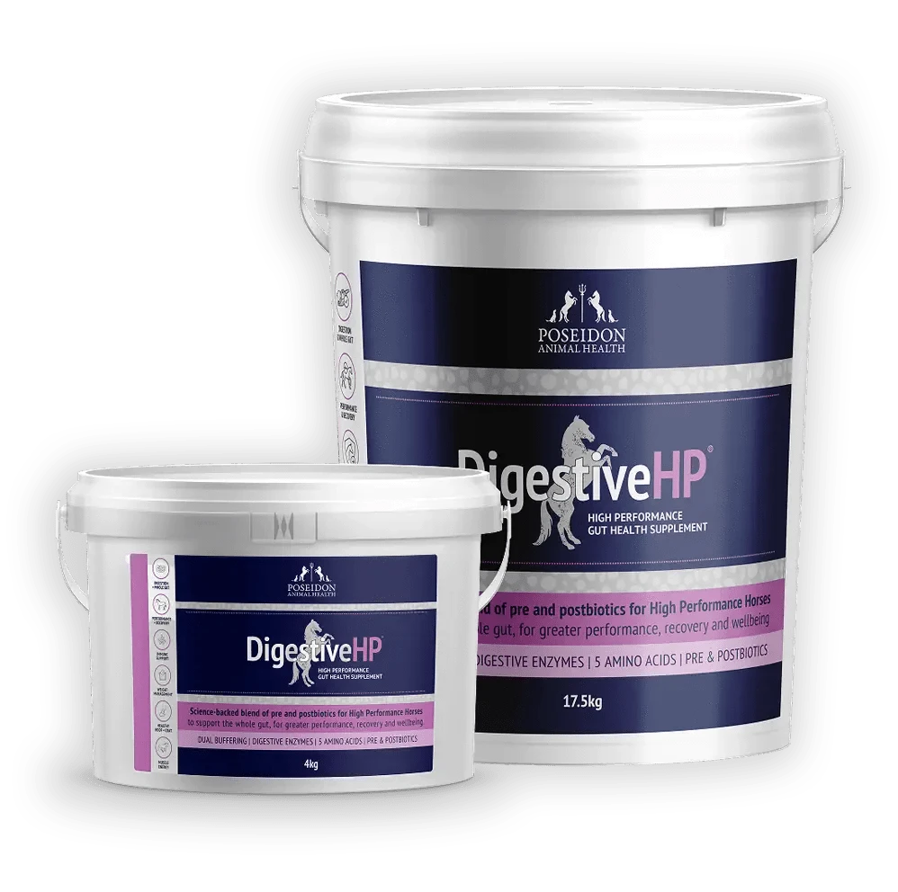 Digestive HP Equine Gut Support. Performance Sport Horses & Racehorses
